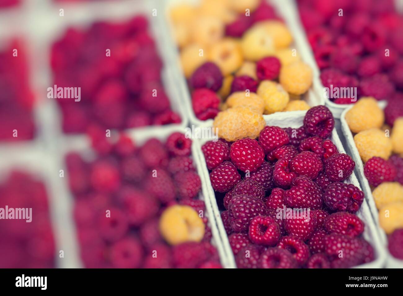 Red and yellow raspberries in boxes at local farm market Stock Photo ...