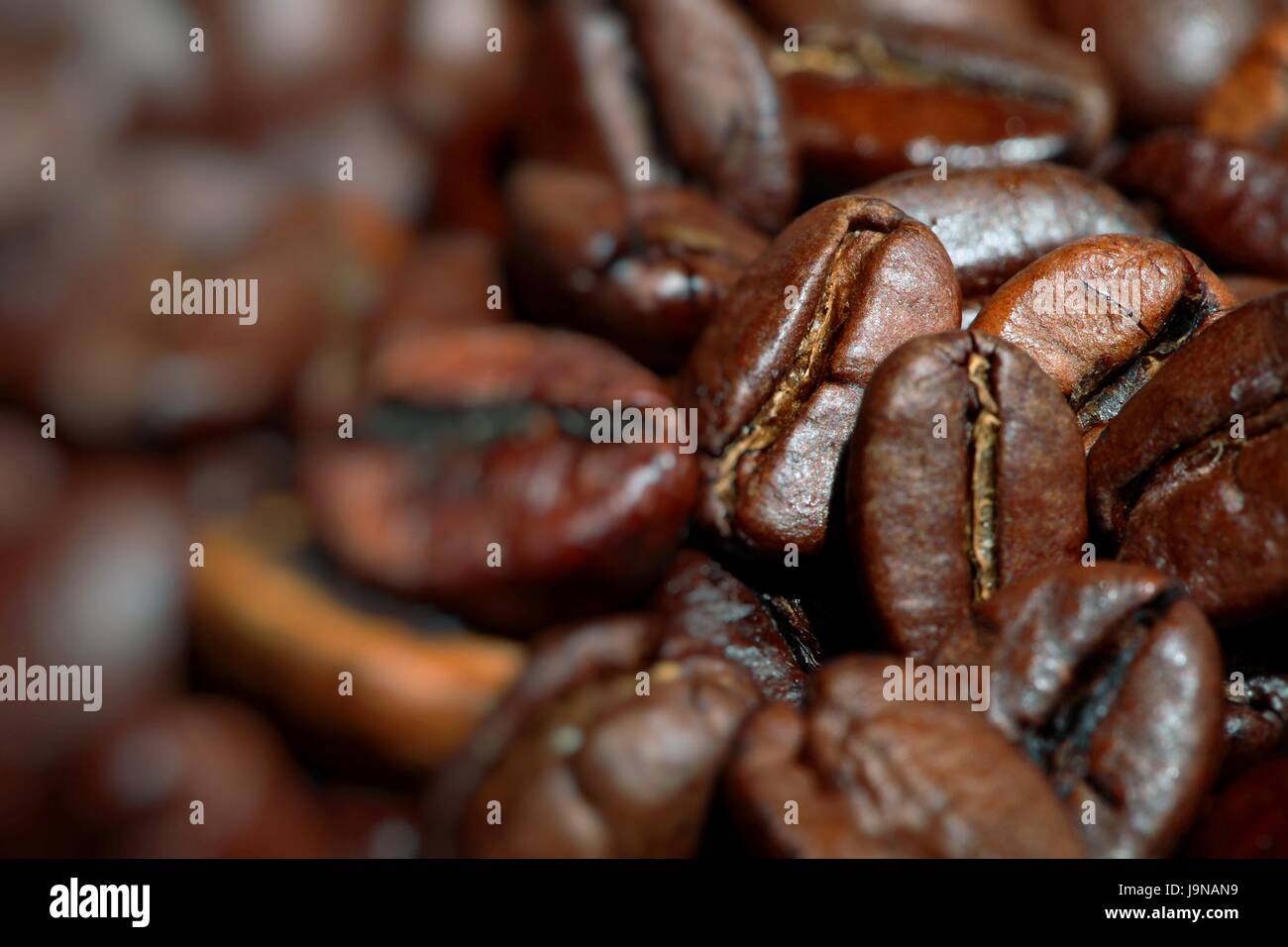 Closeup of coffee beans background Stock Photo - Alamy