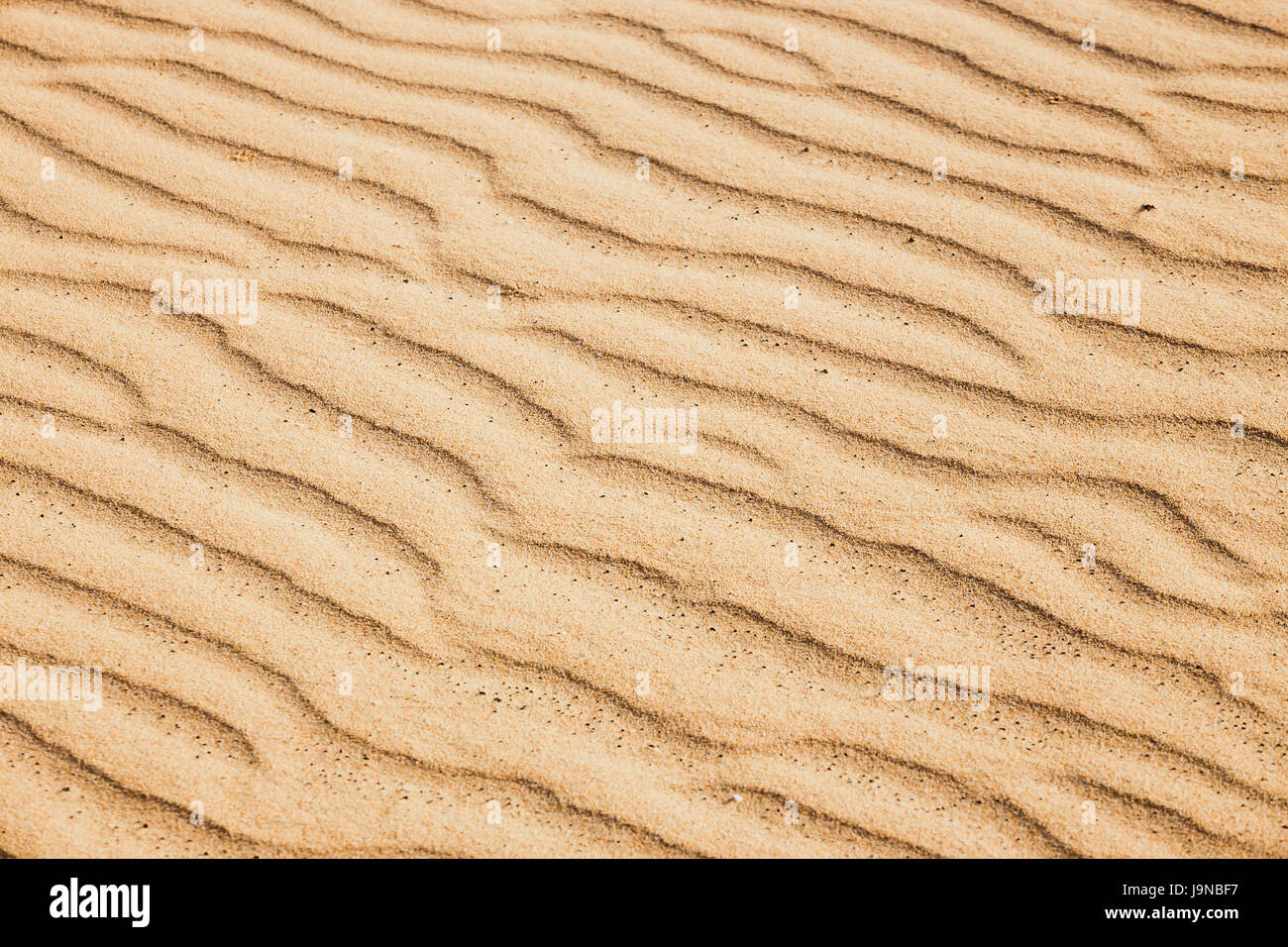 Lines in the sand of a beach, close up Stock Photo - Alamy