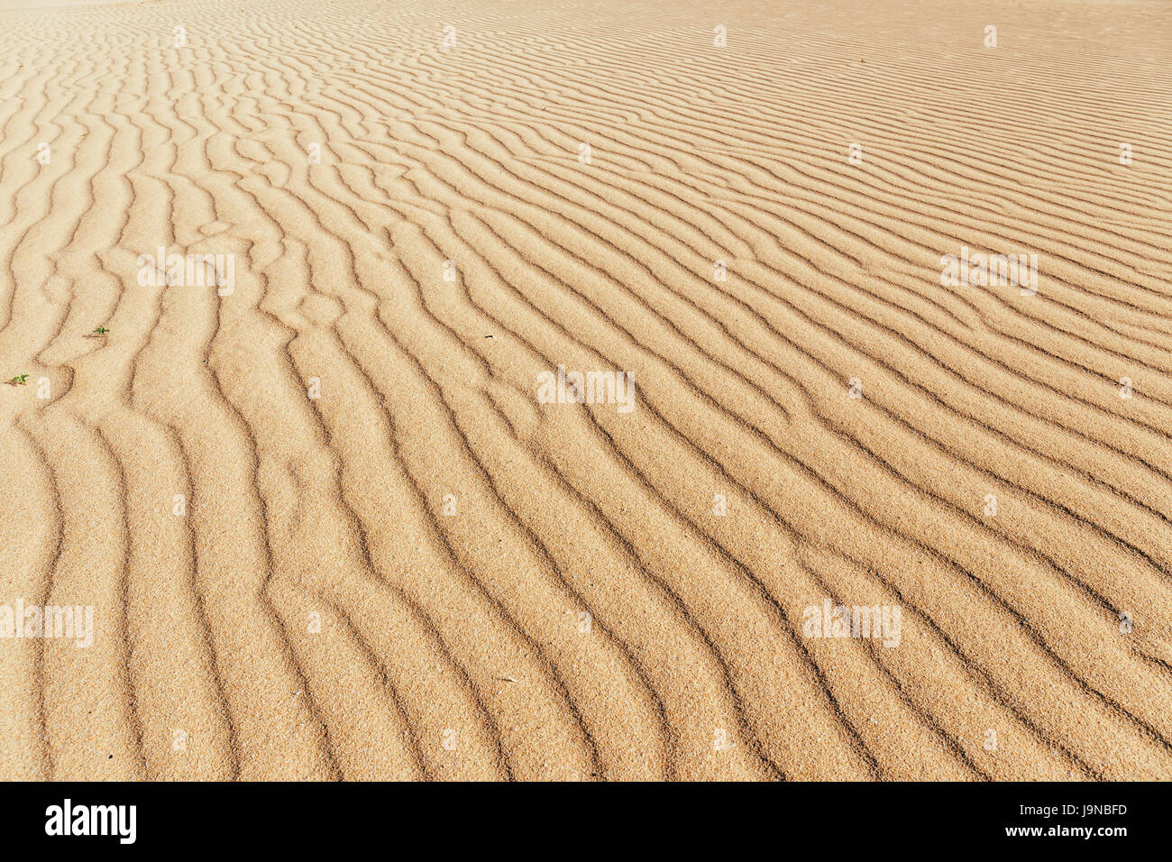 Lines in the sand of a beach, close up Stock Photo - Alamy