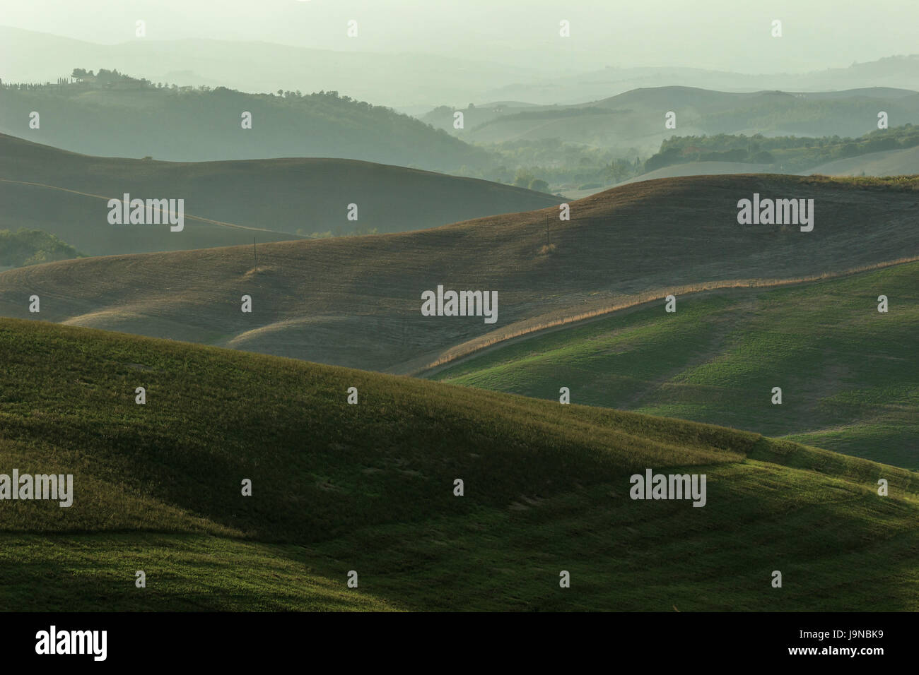 Landscape in Tuscany countryside, Italy Stock Photo - Alamy