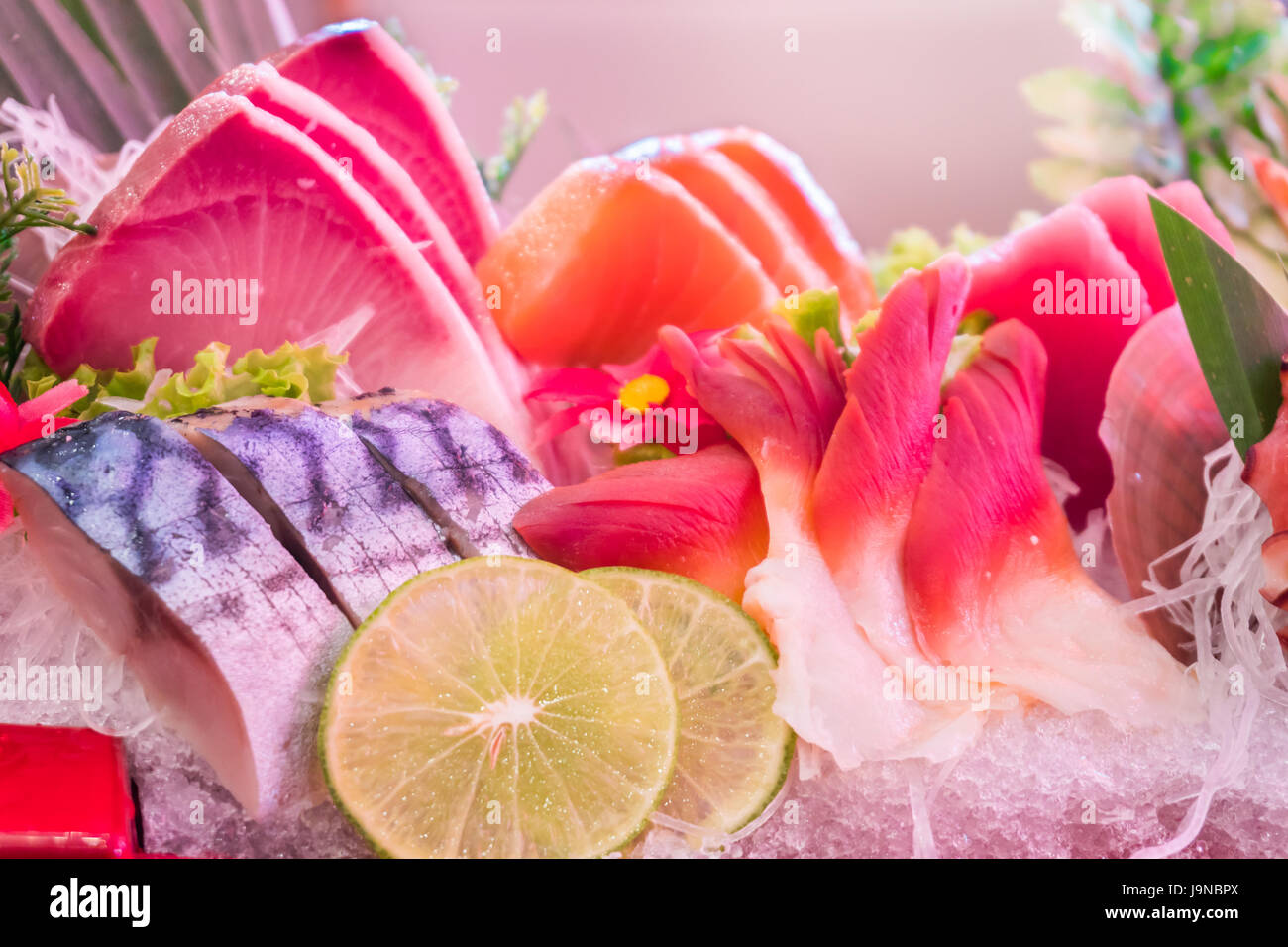 Closeup of sea food set with mix fish and squid shellfish on ice ...