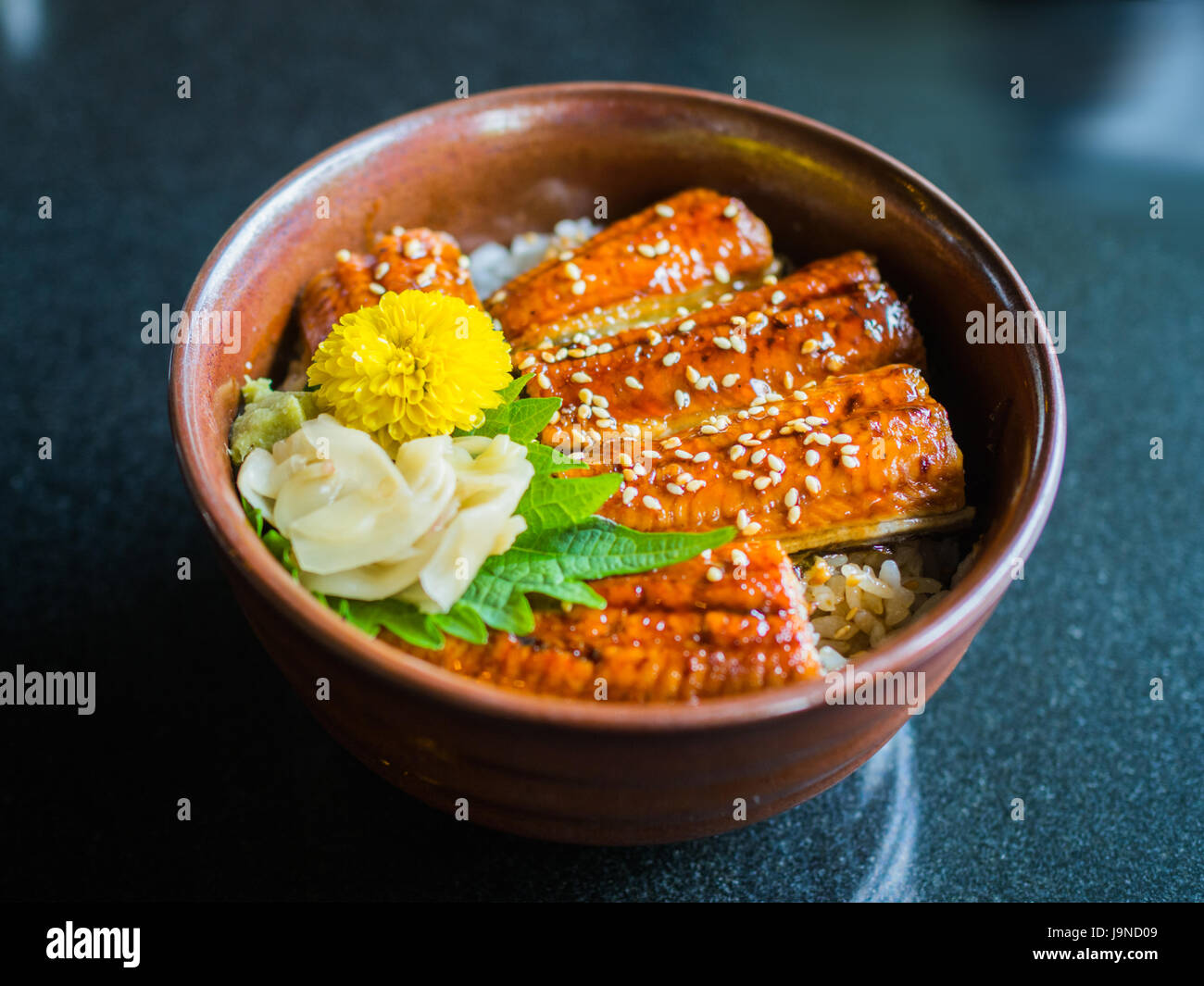 Unagi Don Grilled Eel Rice Bowl, Japanese food dish with decoration ...