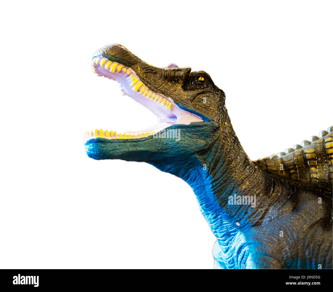 Tyrannosaurus rex roaring triceratops hi-res stock photography and ...