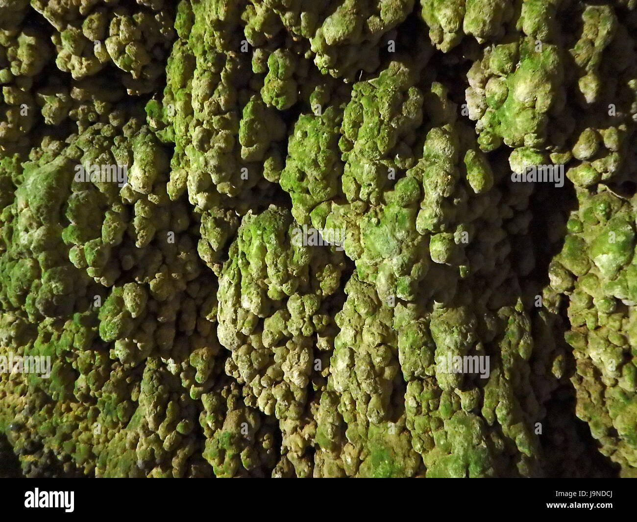 Travertine covered with green moss, calc tuff - natural background ...