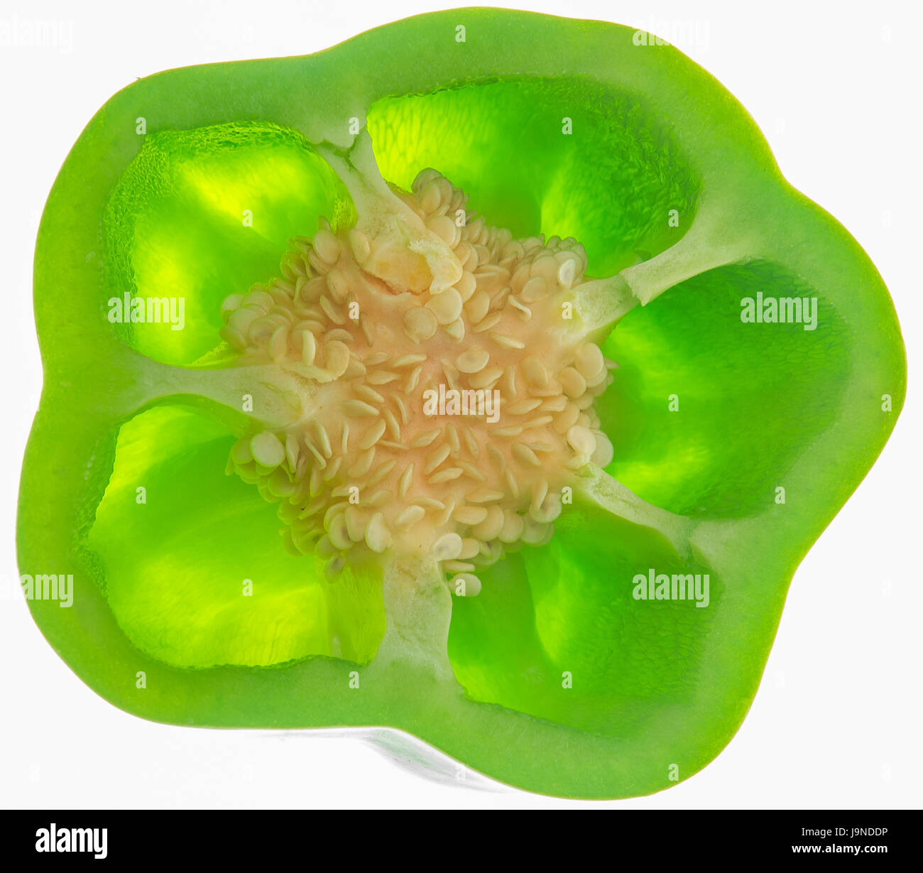 Silce hi-res stock photography and images - Alamy