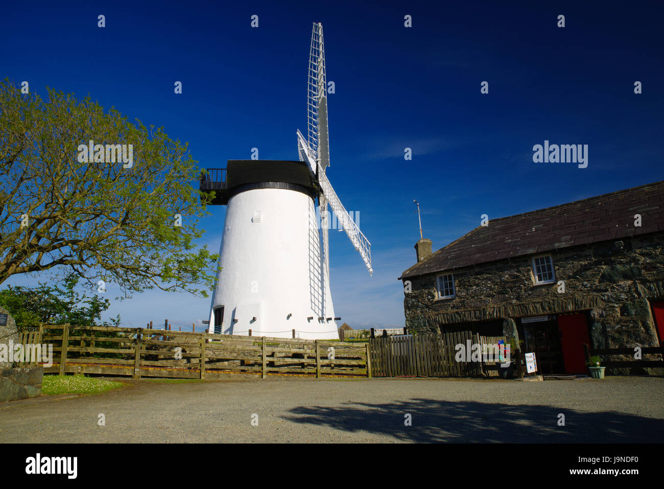 Llynnon Windmill, Anglesey Stock Photo - Alamy
