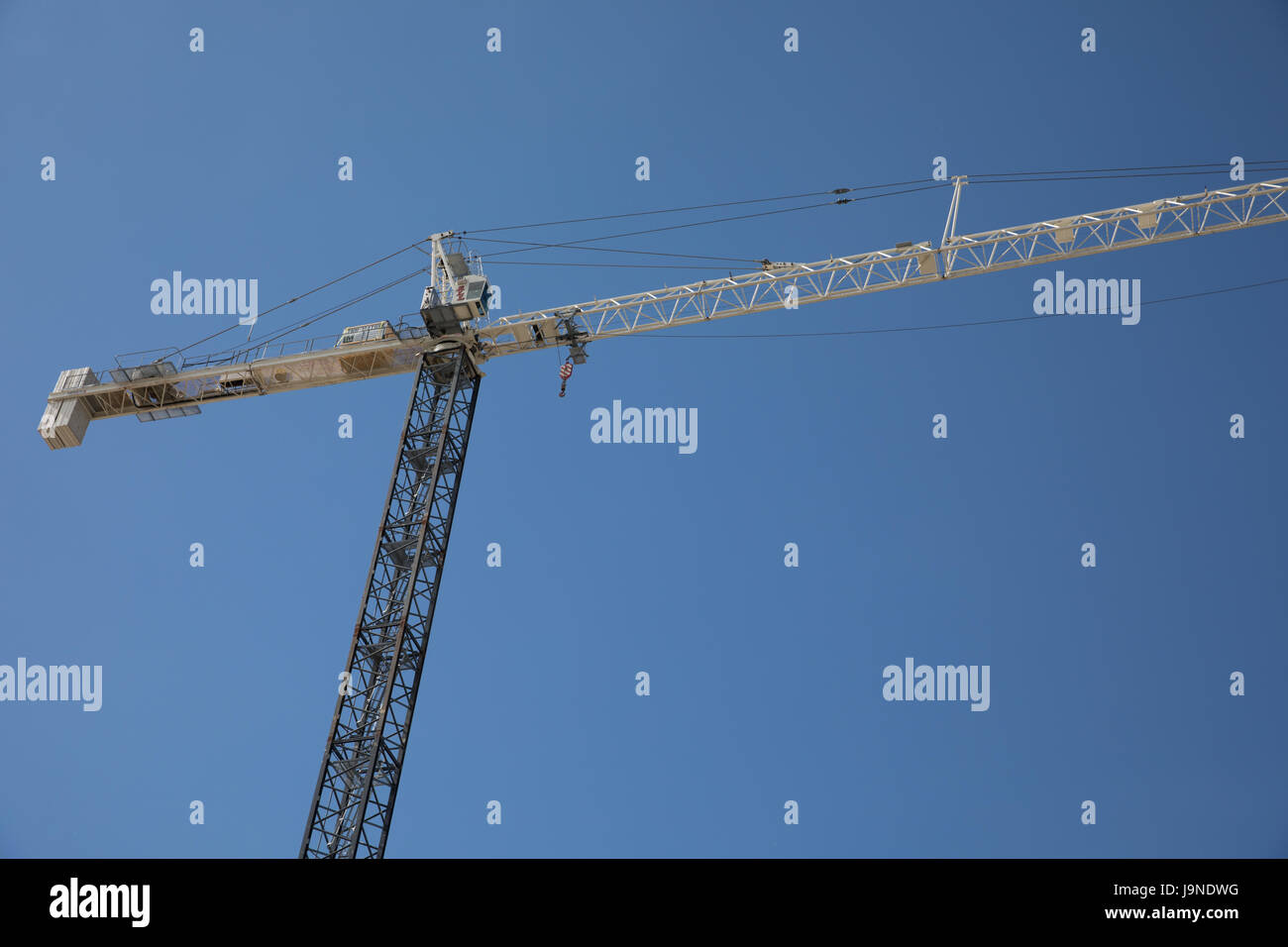 Real crane hi-res stock photography and images - Alamy