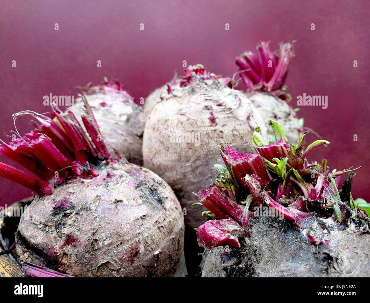 edible red beet in a basket Stock Photo - Alamy