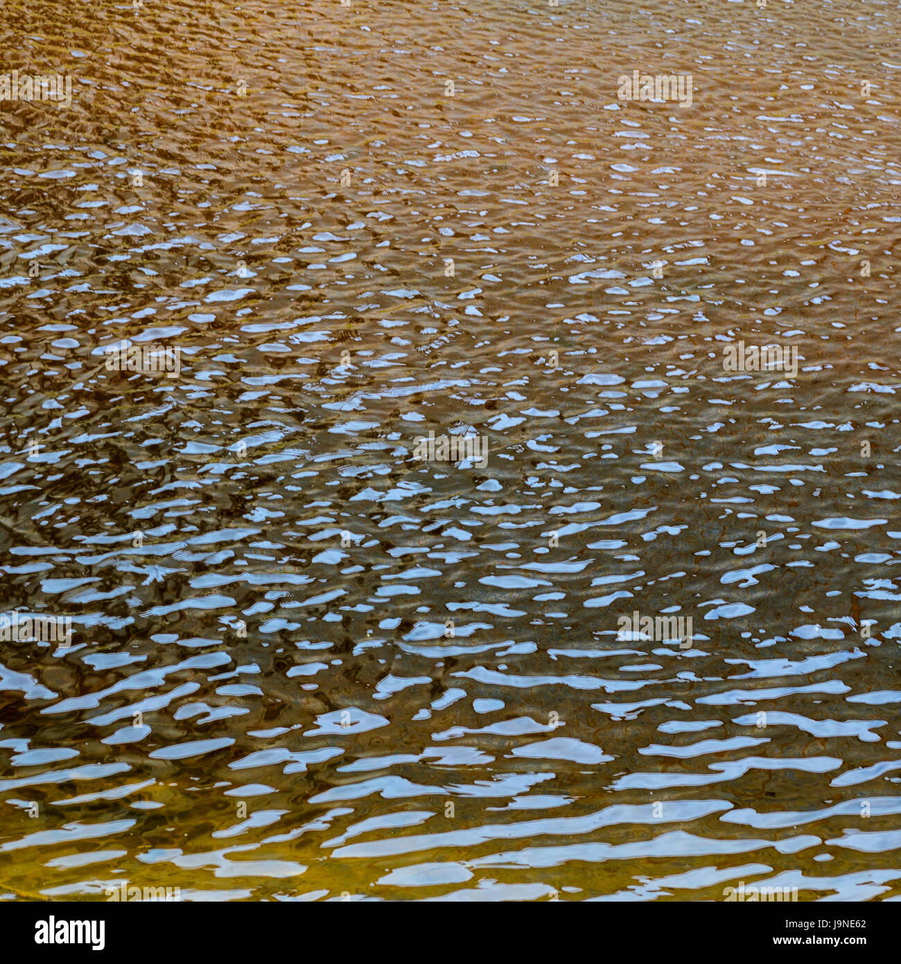 The surface of the lake. Water, lake, wave background Stock Photo - Alamy