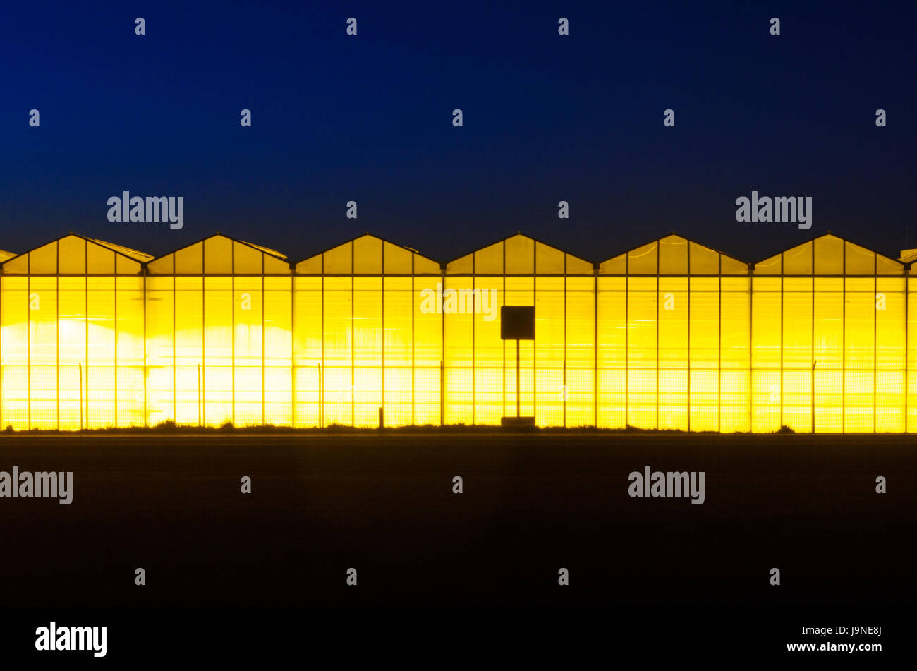 Greenhouse plant at night. Night landscape luminous glass construction ...