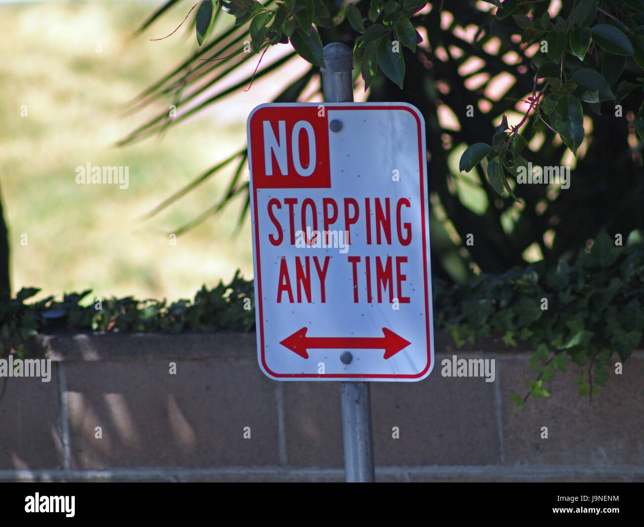 street sign, NO STOPPING ANY TIME Stock Photo - Alamy