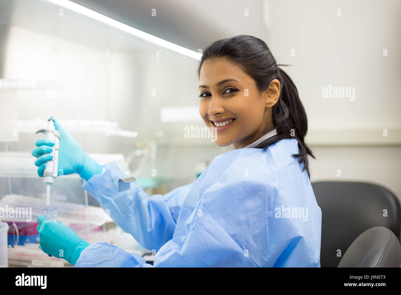 Closeup portrait, scientist pipetting from 50 mL conical tube with blue ...