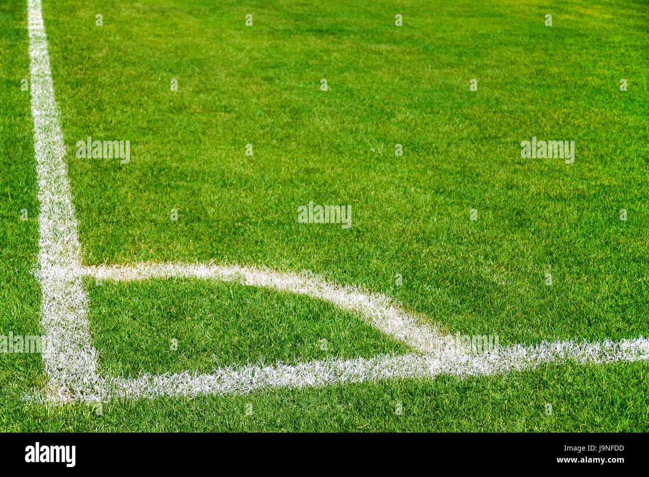 white corner line on beautiful green grass of soccer field, football ...