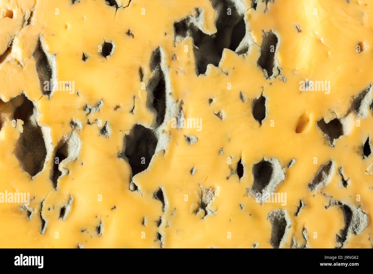 abstract background texture of cheese with blue mold Stock Photo - Alamy