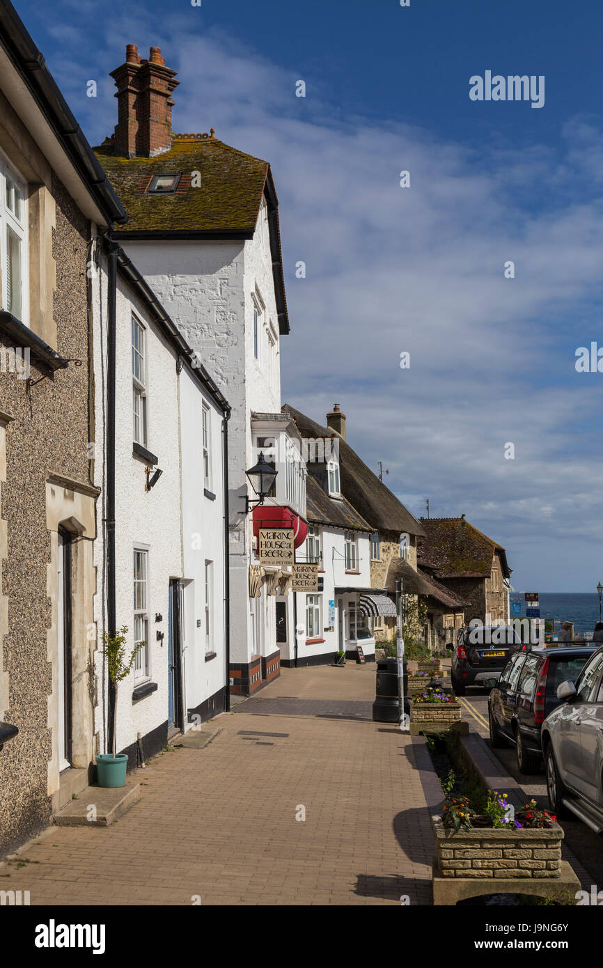 View of Fore Street,Beer, Devon, a pretty fishing village on the ...