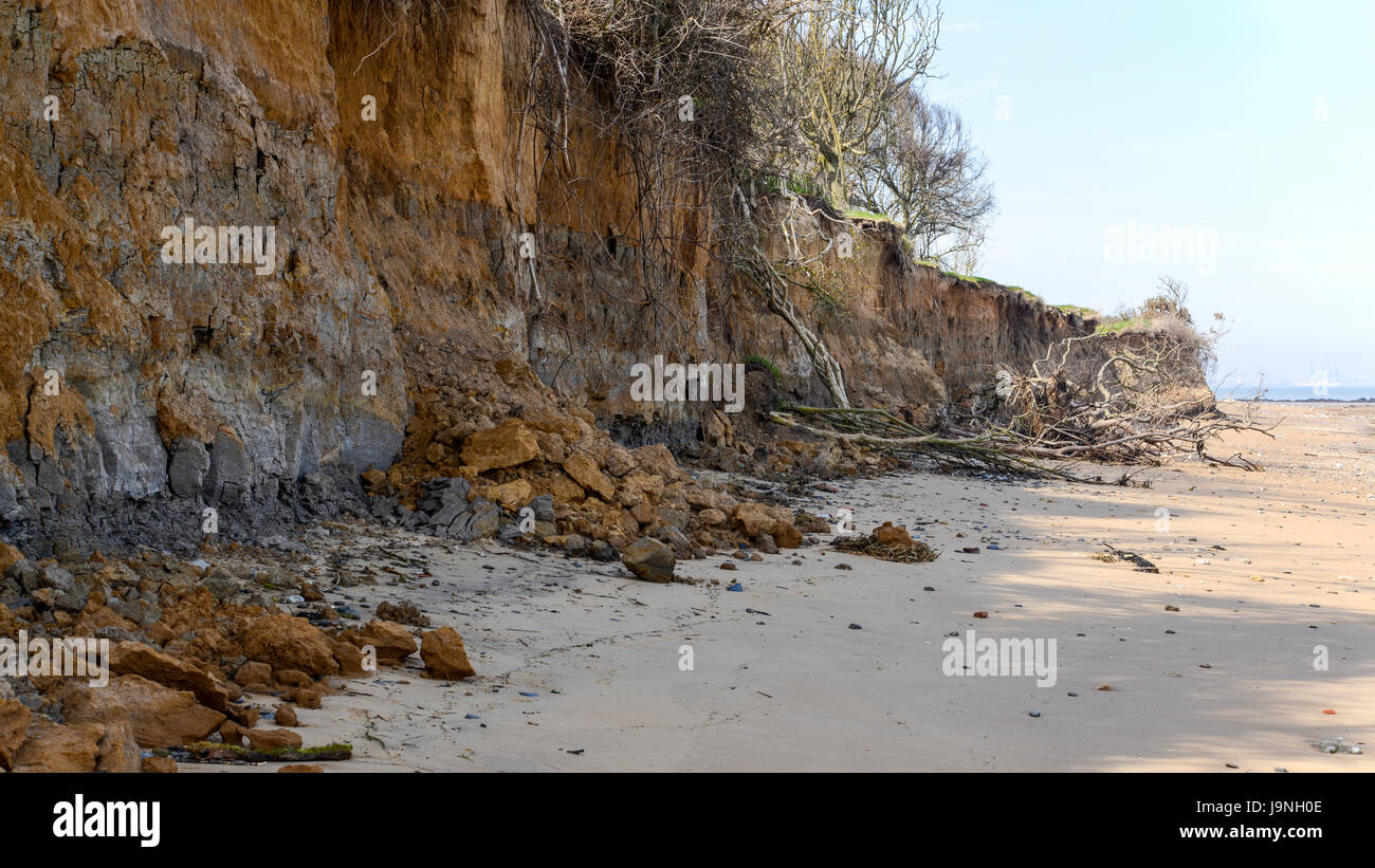 Pleistocene uk hi-res stock photography and images - Alamy