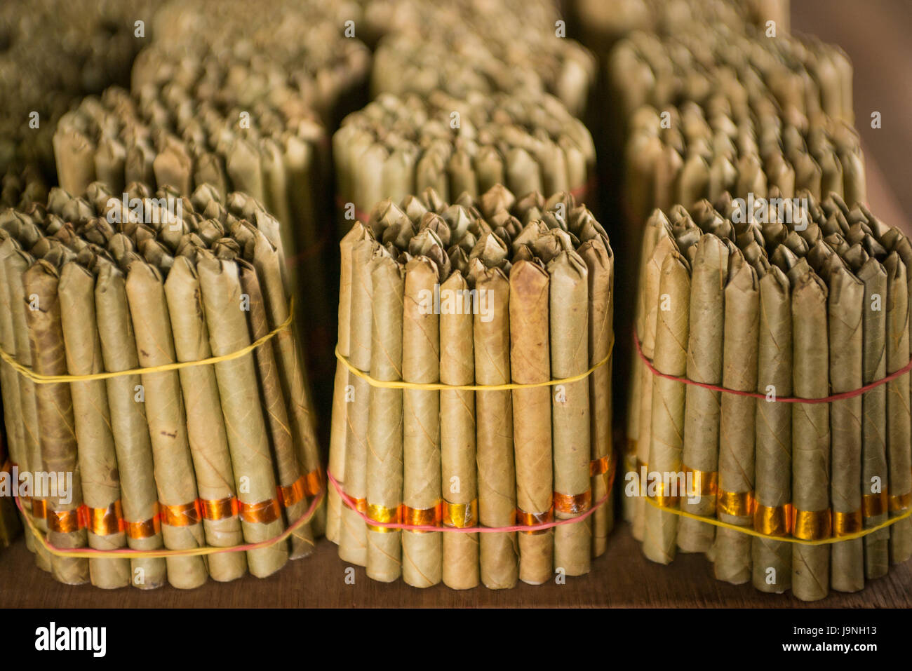 Cheroot prodution. Inle Lake, Myanmar Stock Photo - Alamy