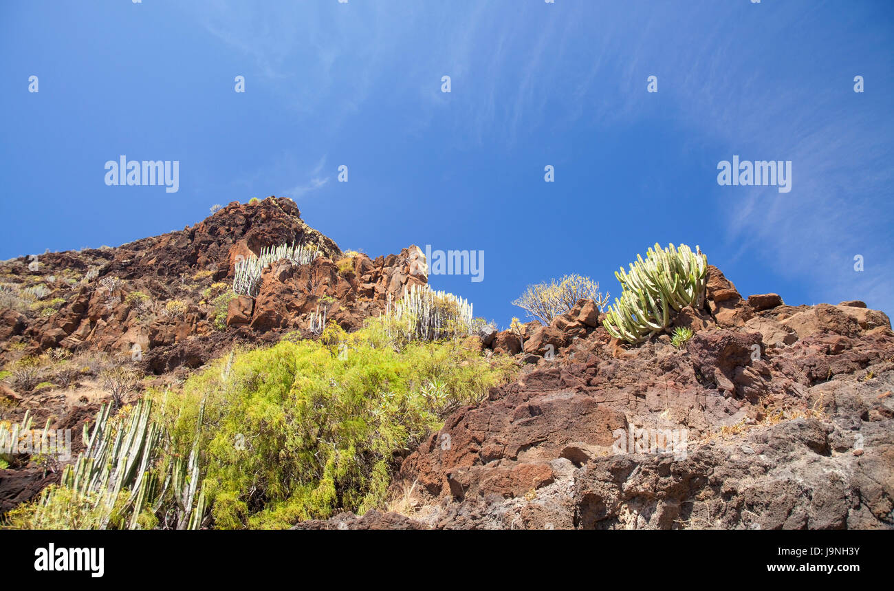 Western Gran Canaria, May, hiking route Tasartico - Playa GuiGui ...