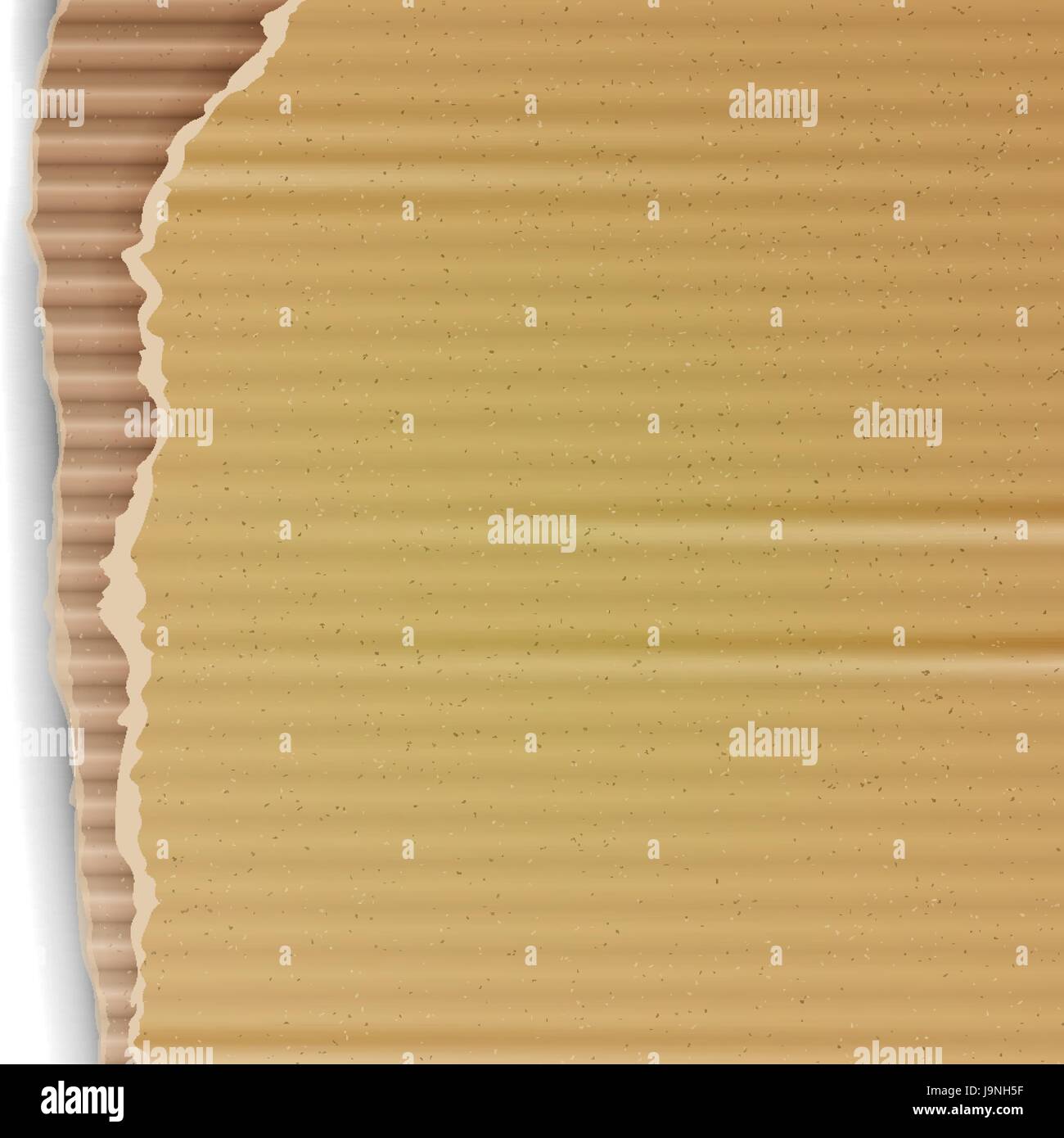 Corrugated Cardboard Vector Background. Realistic Ripped Carton ...