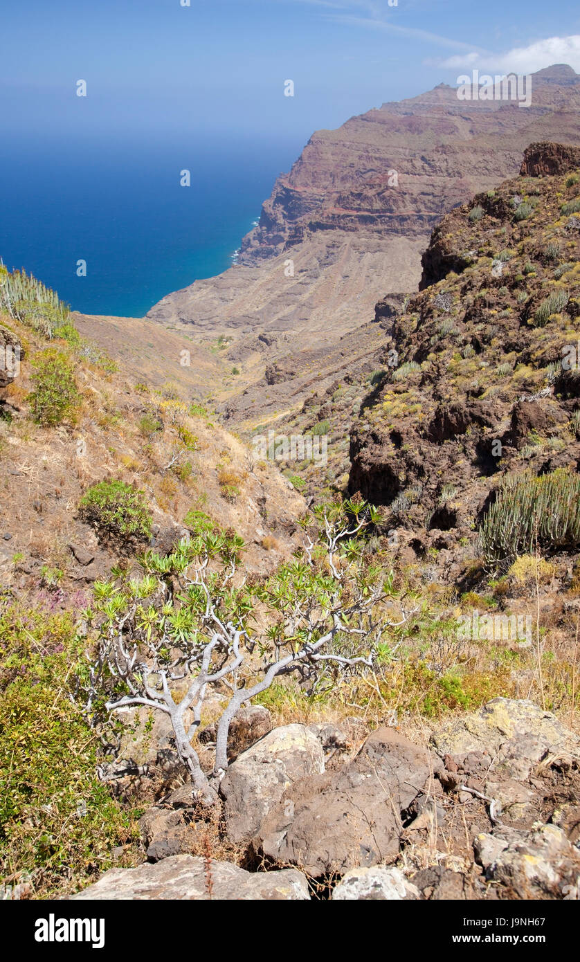 Western Gran Canaria, May, hiking route Tasartico - Playa GuiGui ...