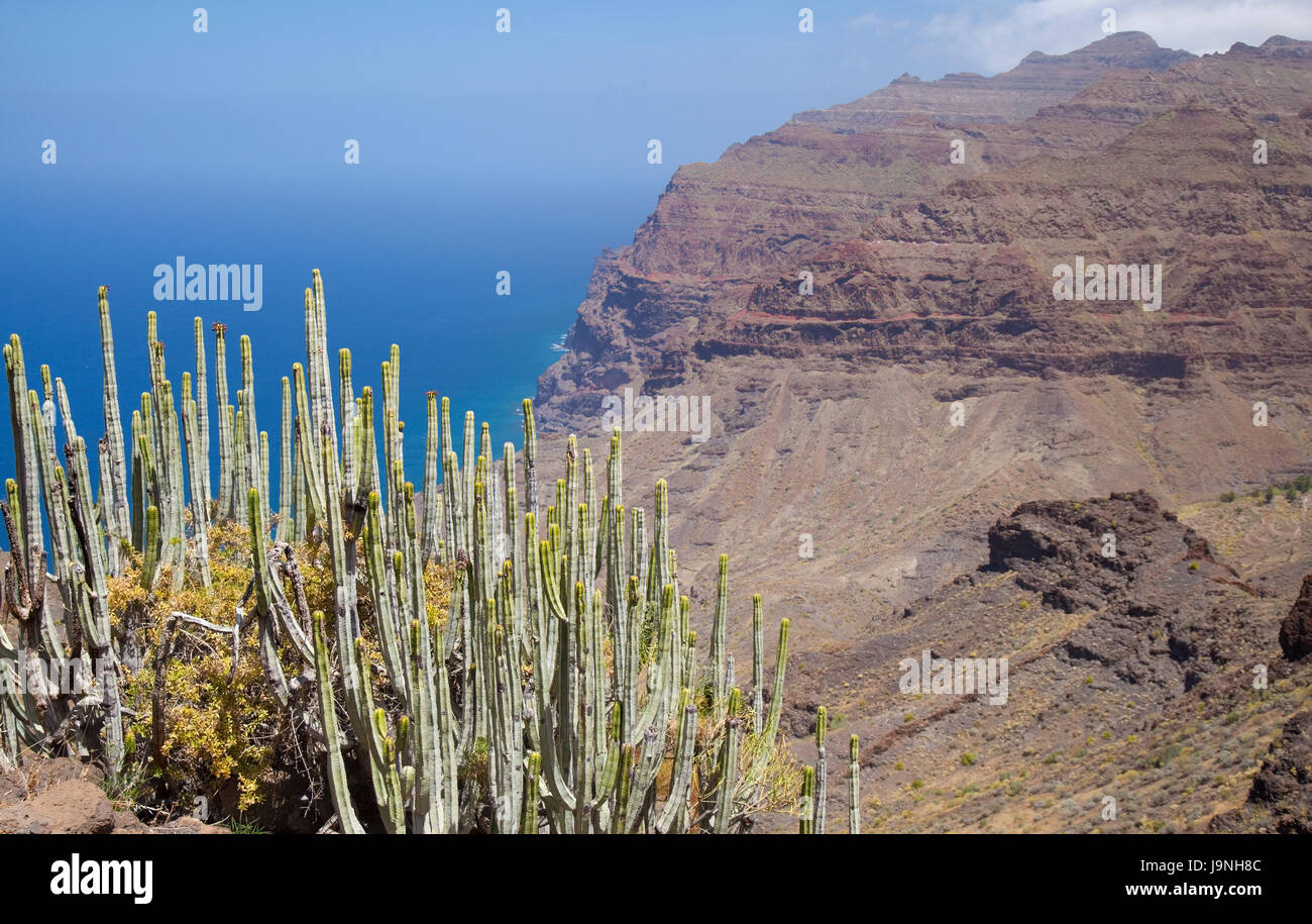 Western Gran Canaria, May, hiking route Tasartico - Playa GuiGui ...