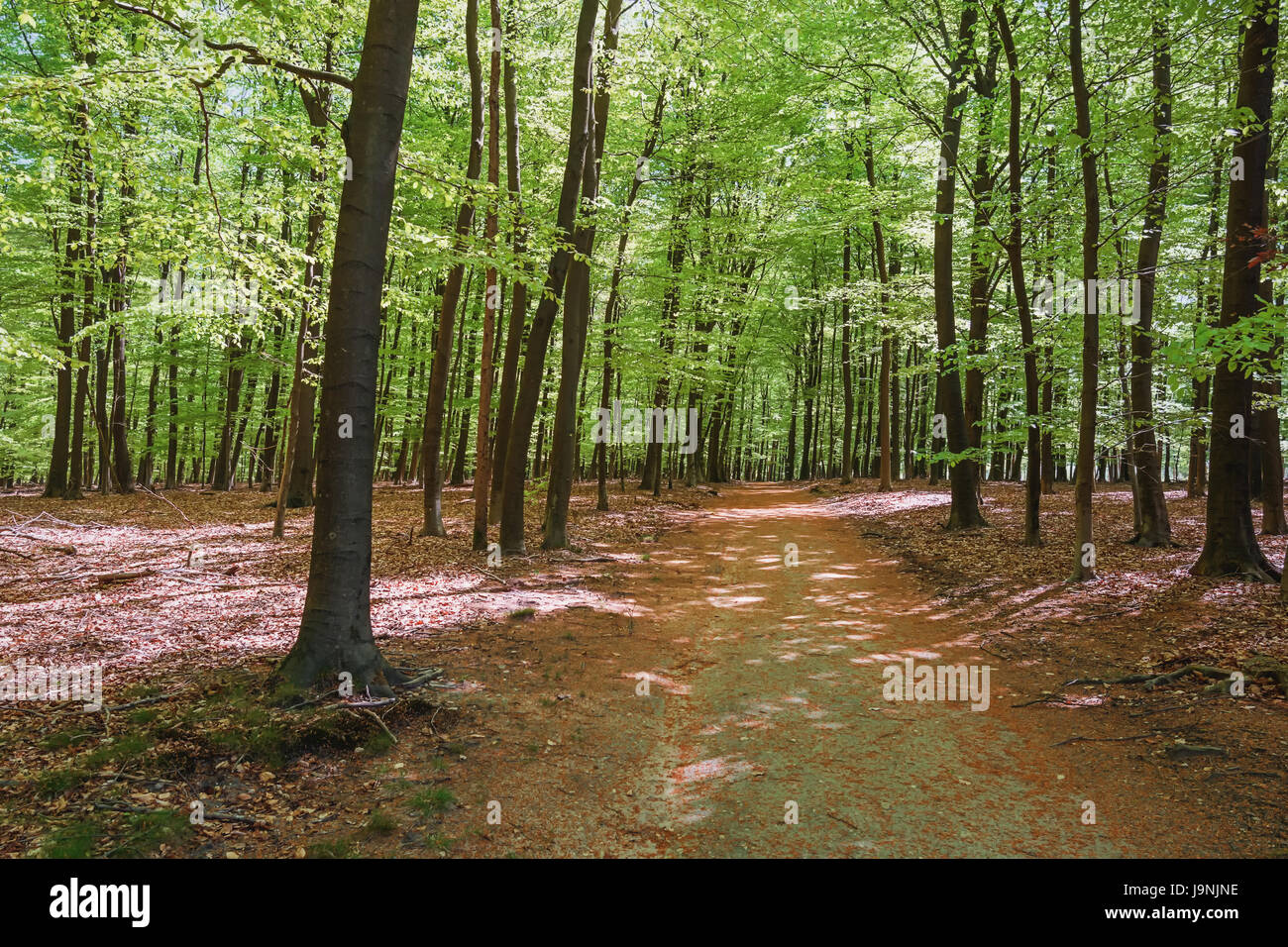 Apeldoorn Gelderland High Resolution Stock Photography and Images - Alamy