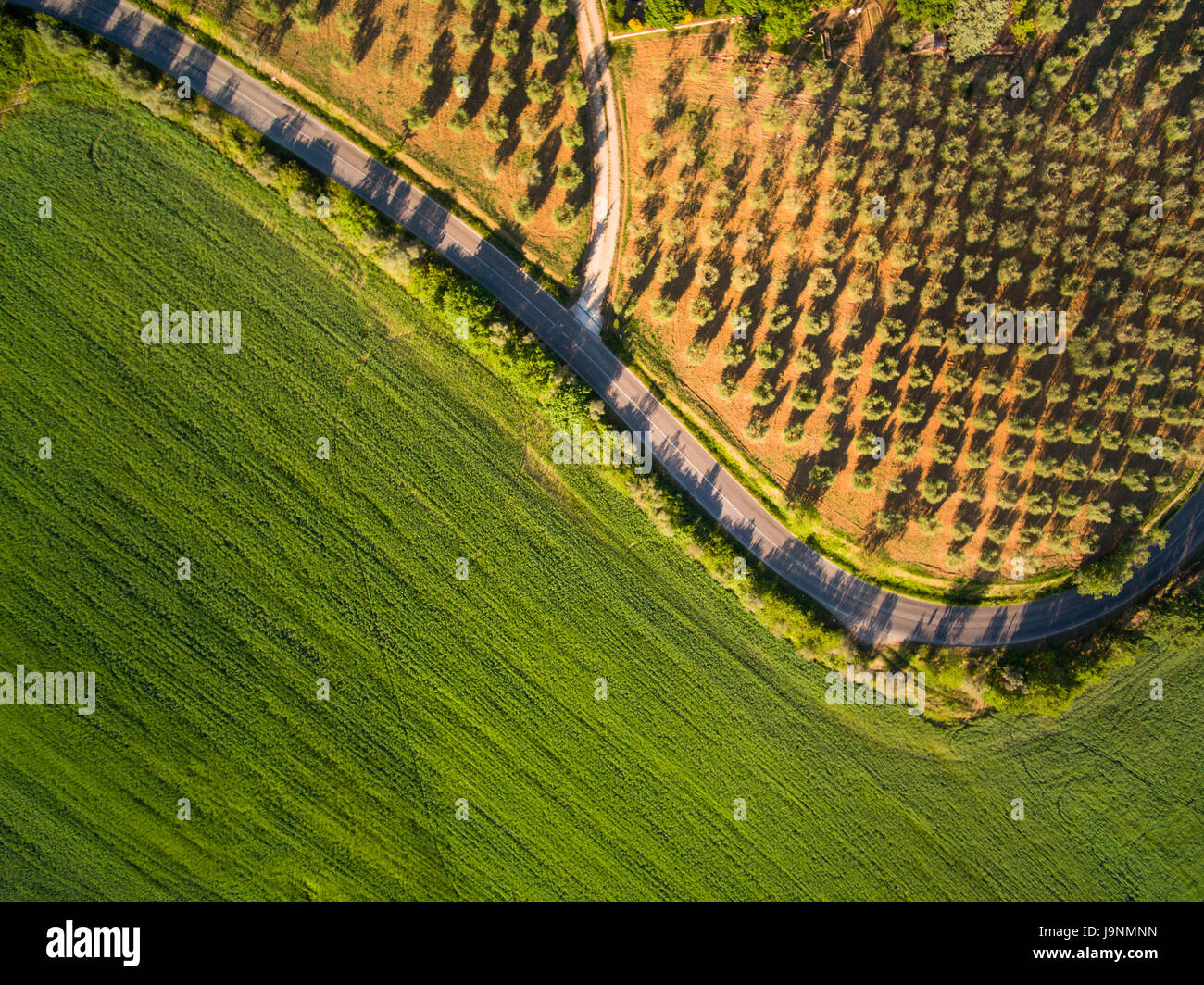 Aerial view from top view. tuscany. Italy Stock Photo - Alamy