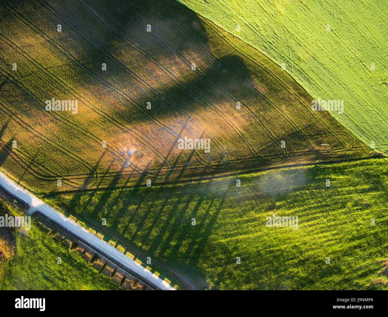Aerial view from top view. tuscany. Italy Stock Photo - Alamy