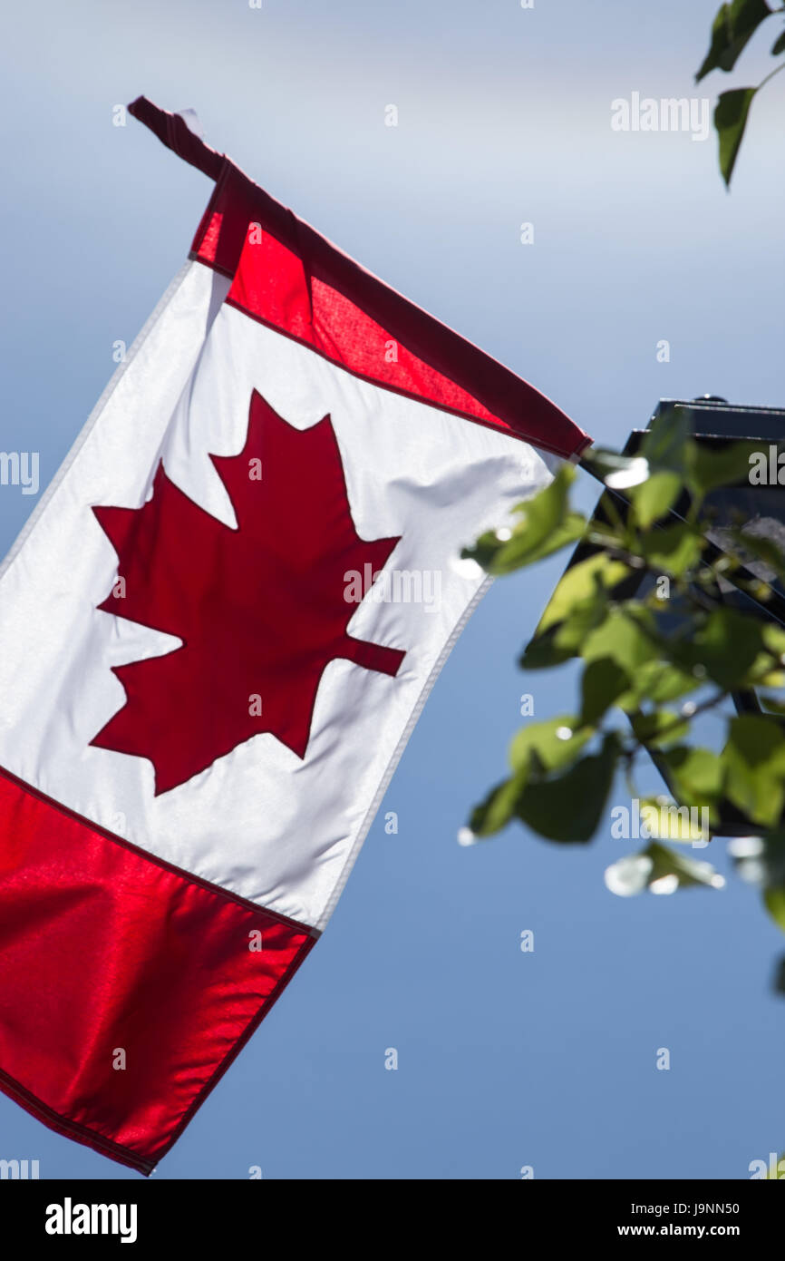 Canadian Flag in Cityscape Stock Photo - Alamy
