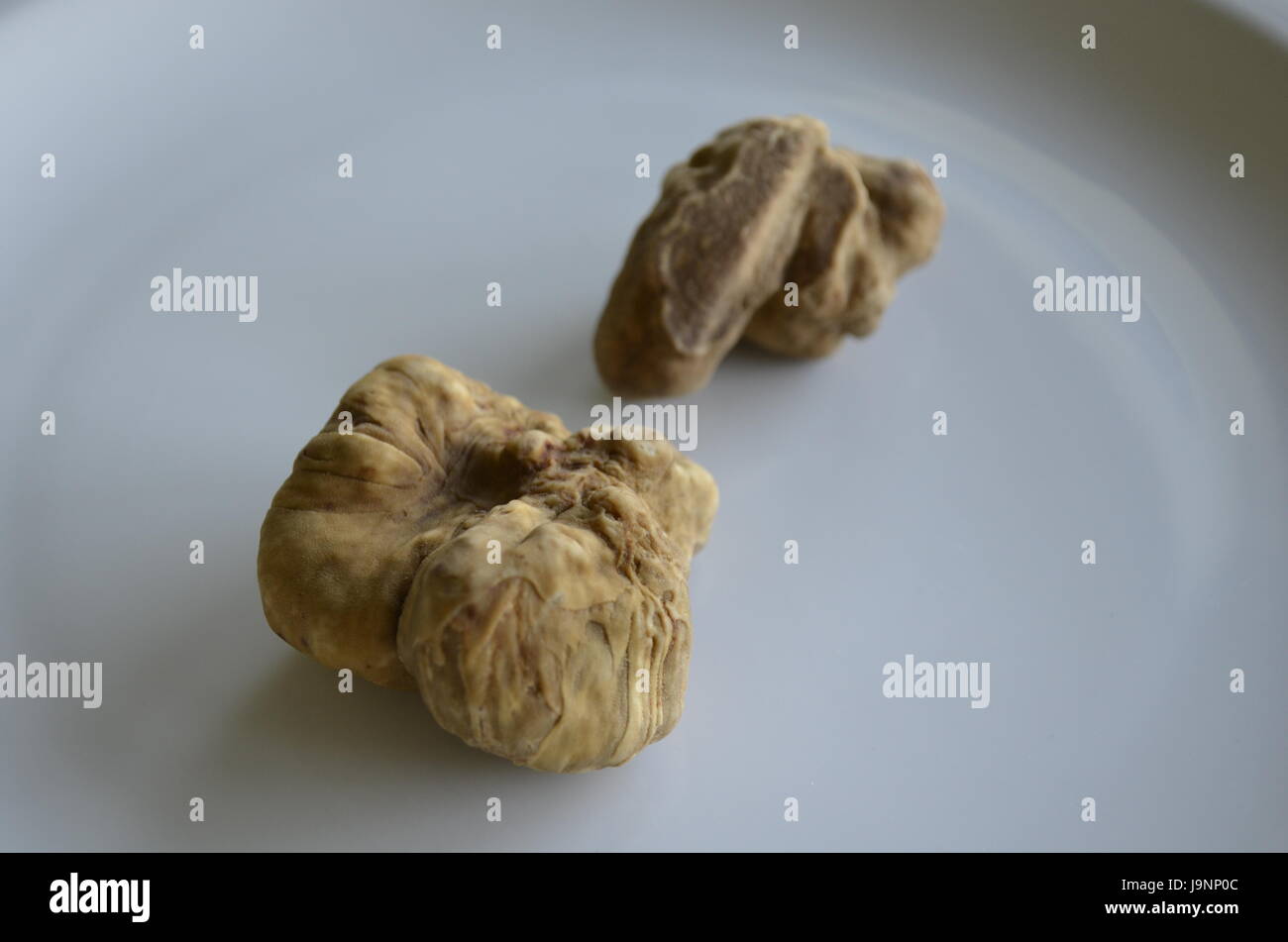 White truffle, Tuber magnatum Stock Photo - Alamy
