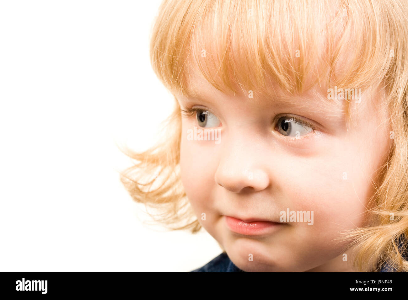 profile, humans, human beings, people, folk, persons, human, human ...