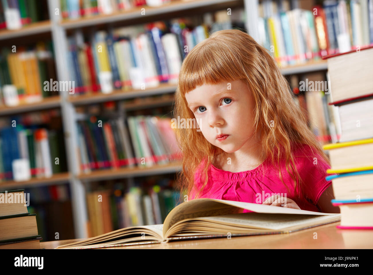 study, humans, human beings, people, folk, persons, human, human being ...