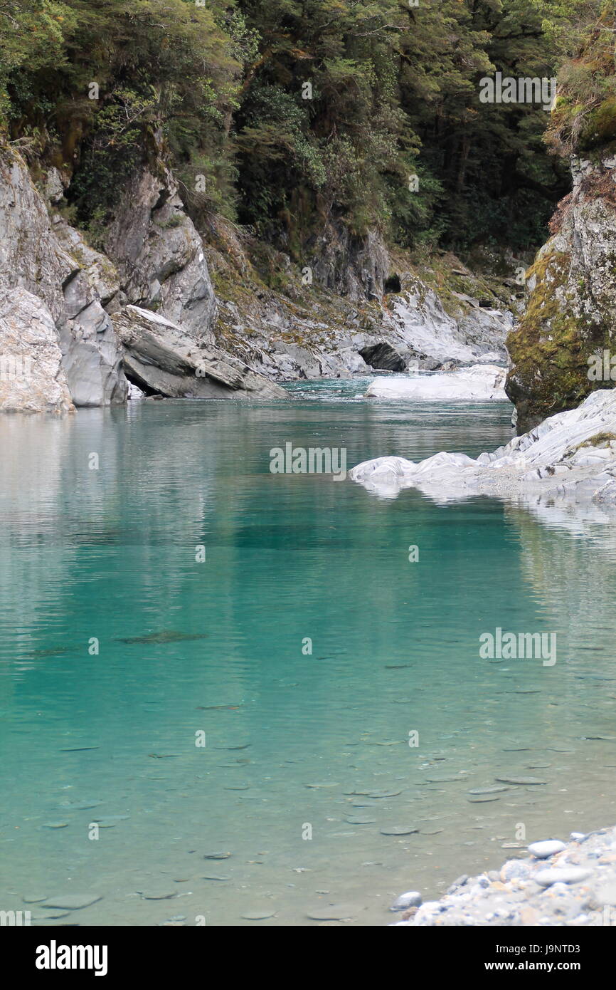 new zealand, glassy, river, water, nature, attraction, new zealand ...