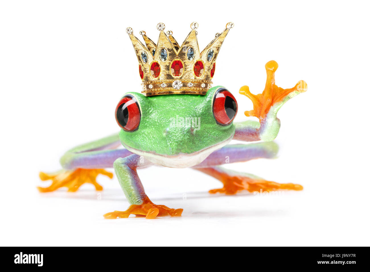 Crown fairy tale icon Cut Out Stock Images & Pictures - Alamy