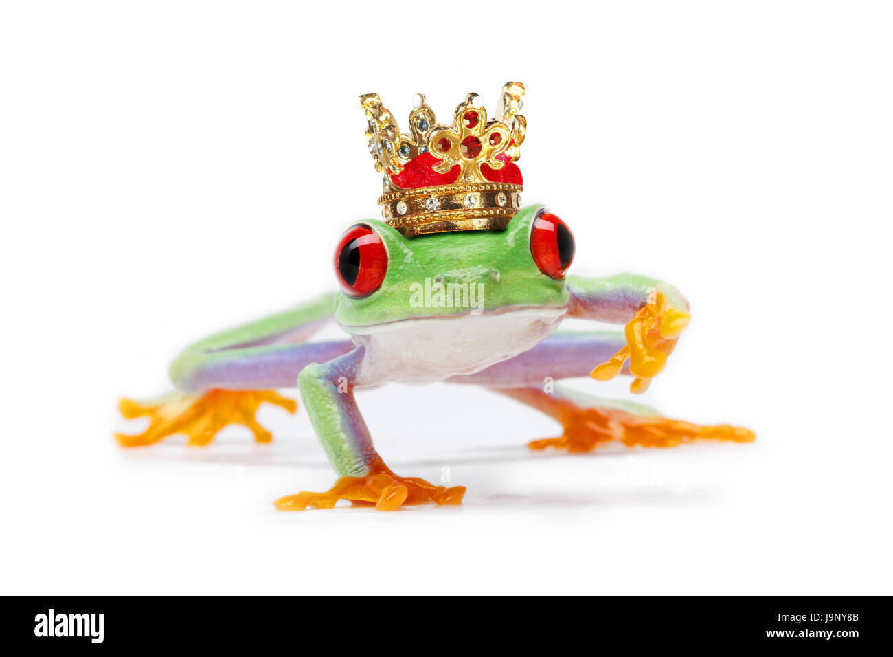 Frog crown hi-res stock photography and images - Alamy