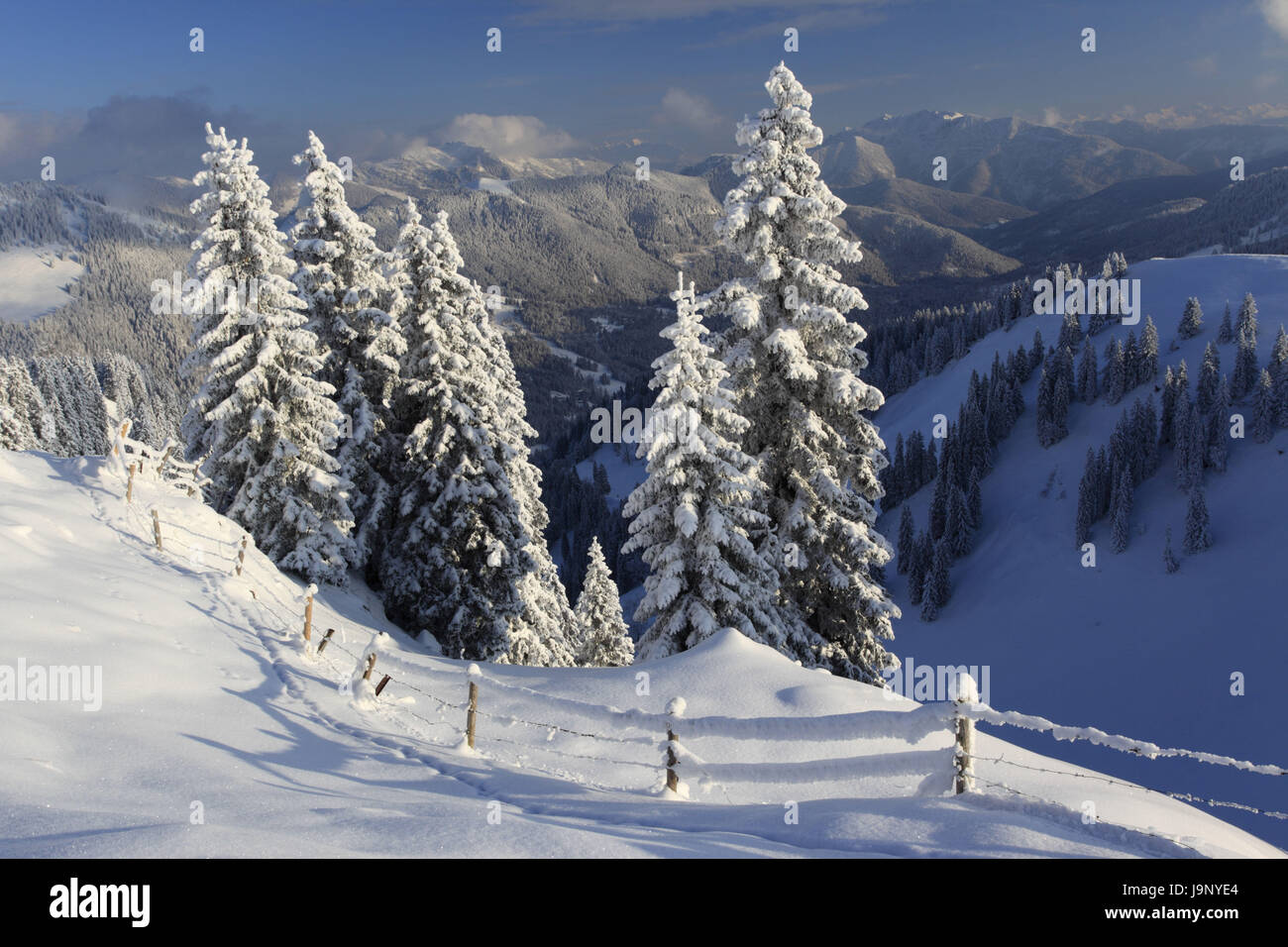 Germany,Bavaria,Upper Bavaria,Mangfallgebirge,embankment mountain ...
