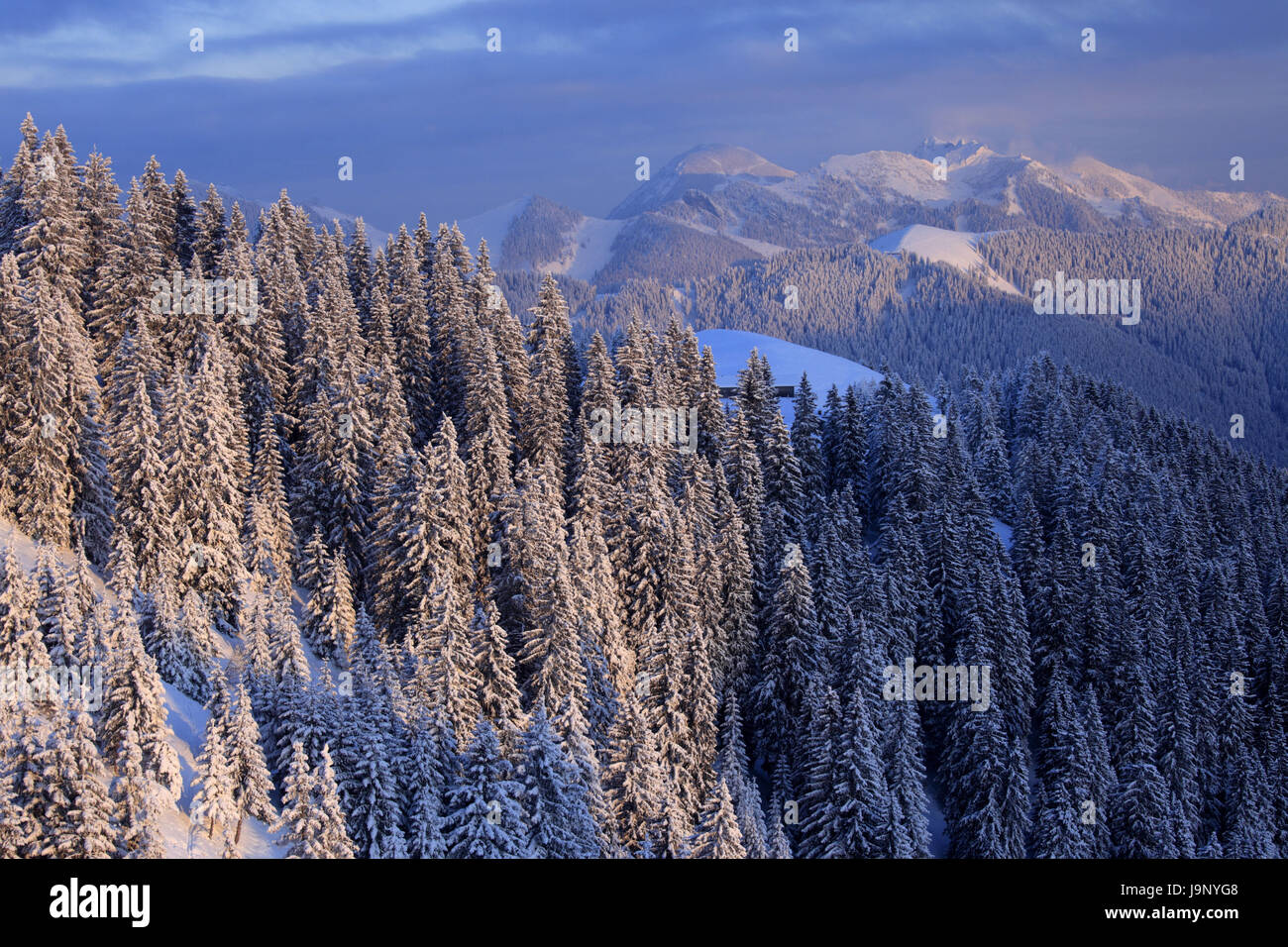 Germany,Bavaria,Upper Bavaria,Mangfallgebirge,embankment mountain ...