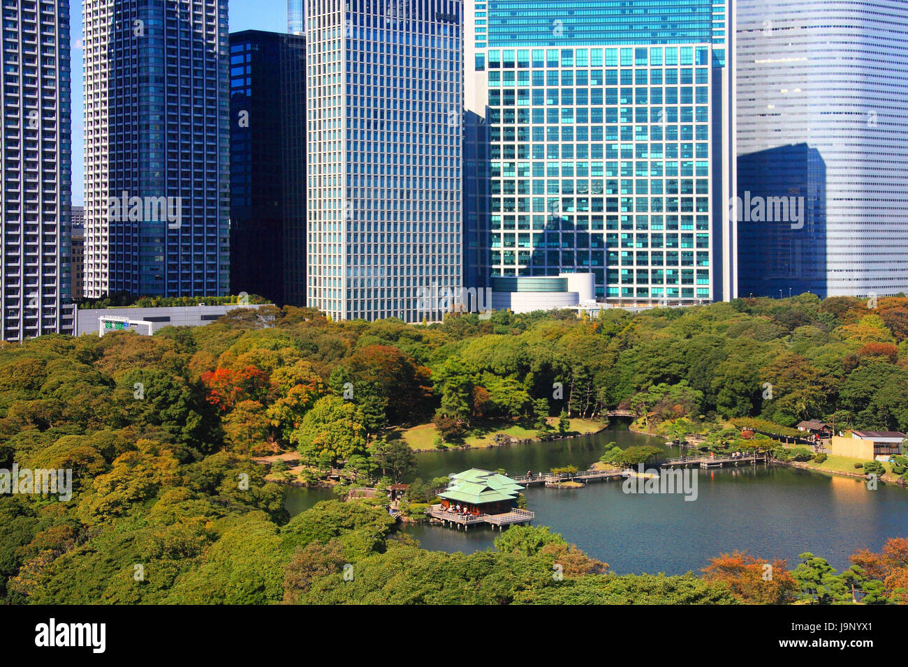 Japan,Tokyo,Minato Ku,Hamarikyu cooking tooth Stock Photo - Alamy