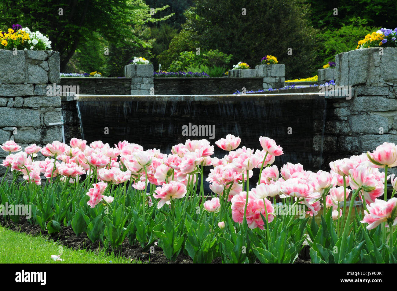 Park,bed of tulips,stone terrace,waterfall Stock Photo - Alamy