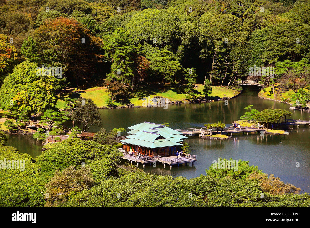 Japan,Tokyo,Minato Ku,Hamarikyu cooking tooth Stock Photo - Alamy
