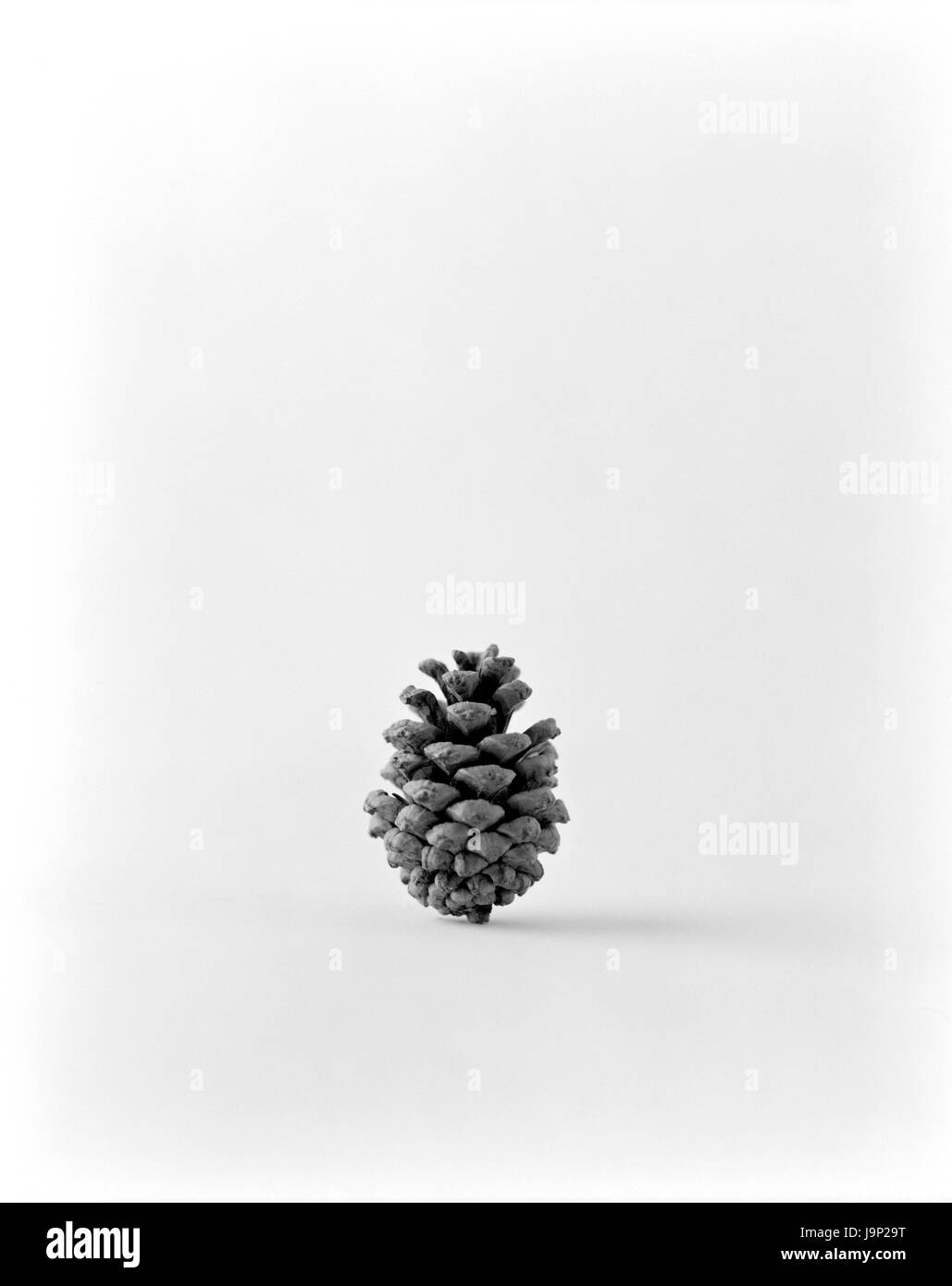 Solo cone hi-res stock photography and images - Alamy