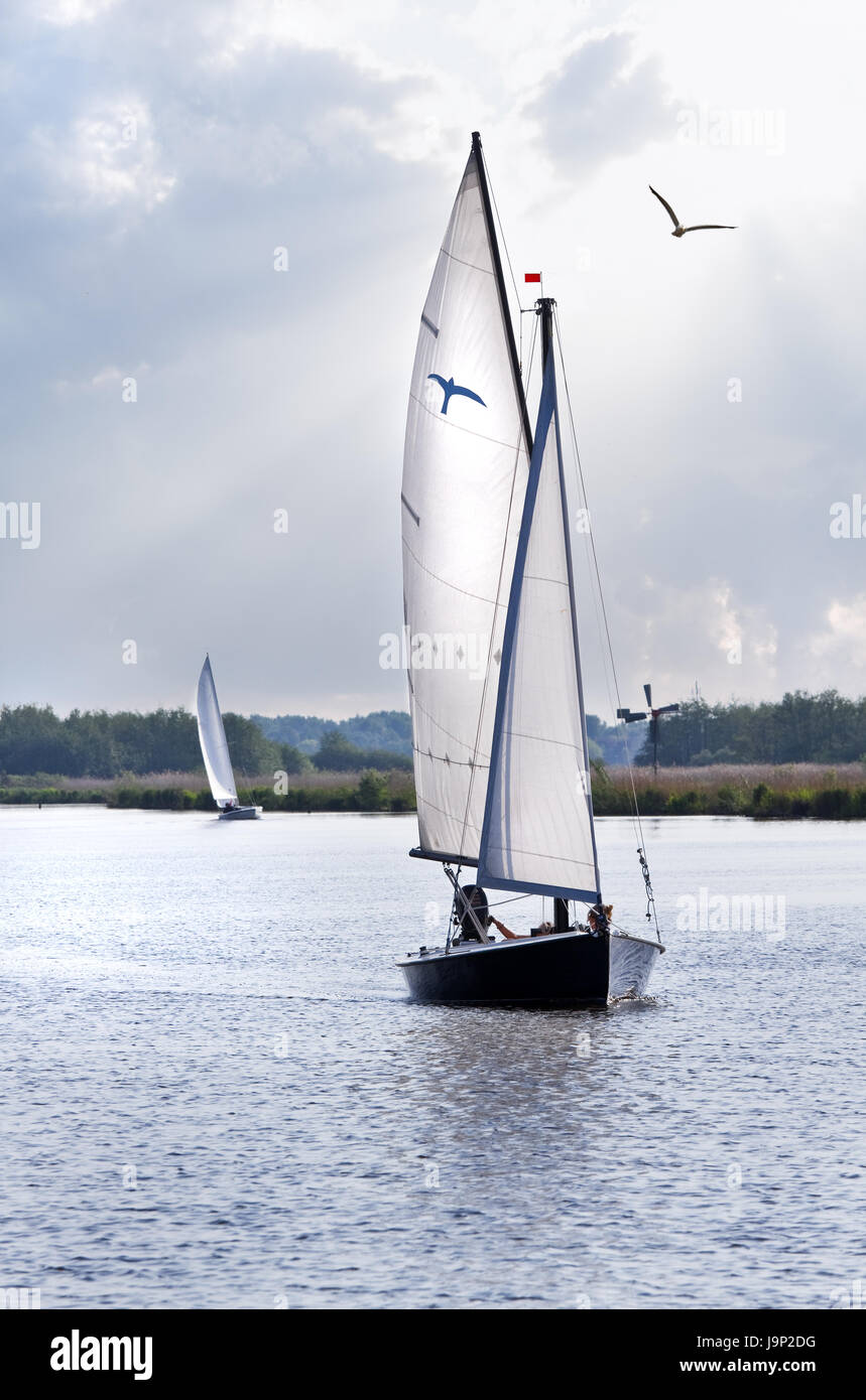 sail, sailing boat, sailboat, boat, ship, sailing, water, rowing boat ...