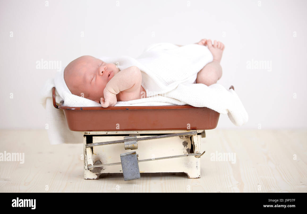 baby, dear, boy, lad, male youngster, young, younger, newborn child ...