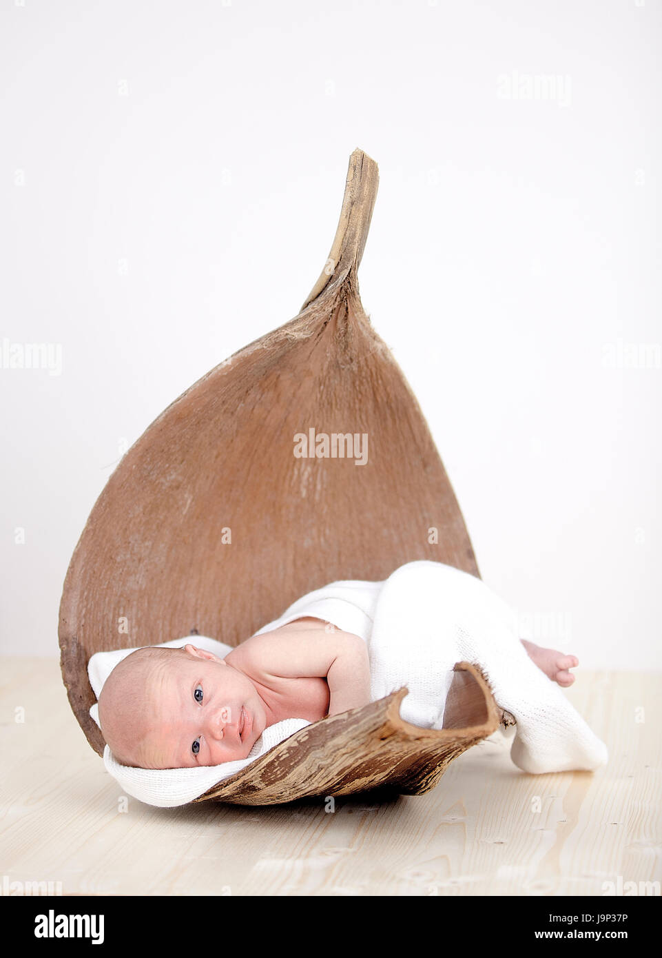 baby, dear, boy, lad, male youngster, young, younger, newborn child ...