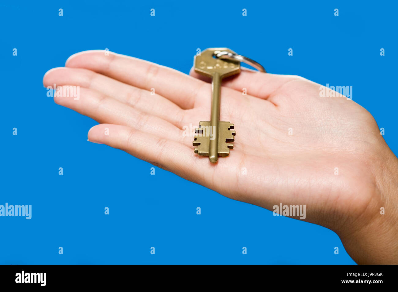 successful, succesful, finger, model, design, project, concept, plan ...