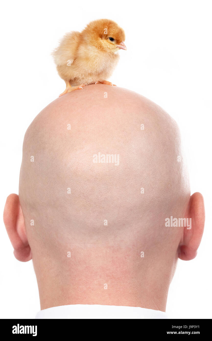 Chicken man back view Cut Out Stock Images & Pictures - Alamy