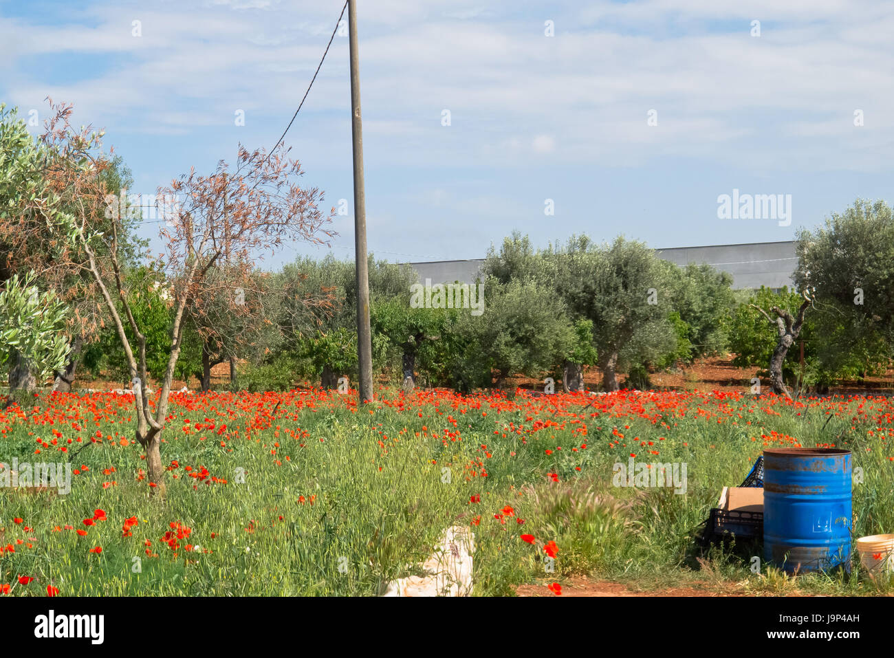 environmental scene with industry objects pollution Stock Photo - Alamy