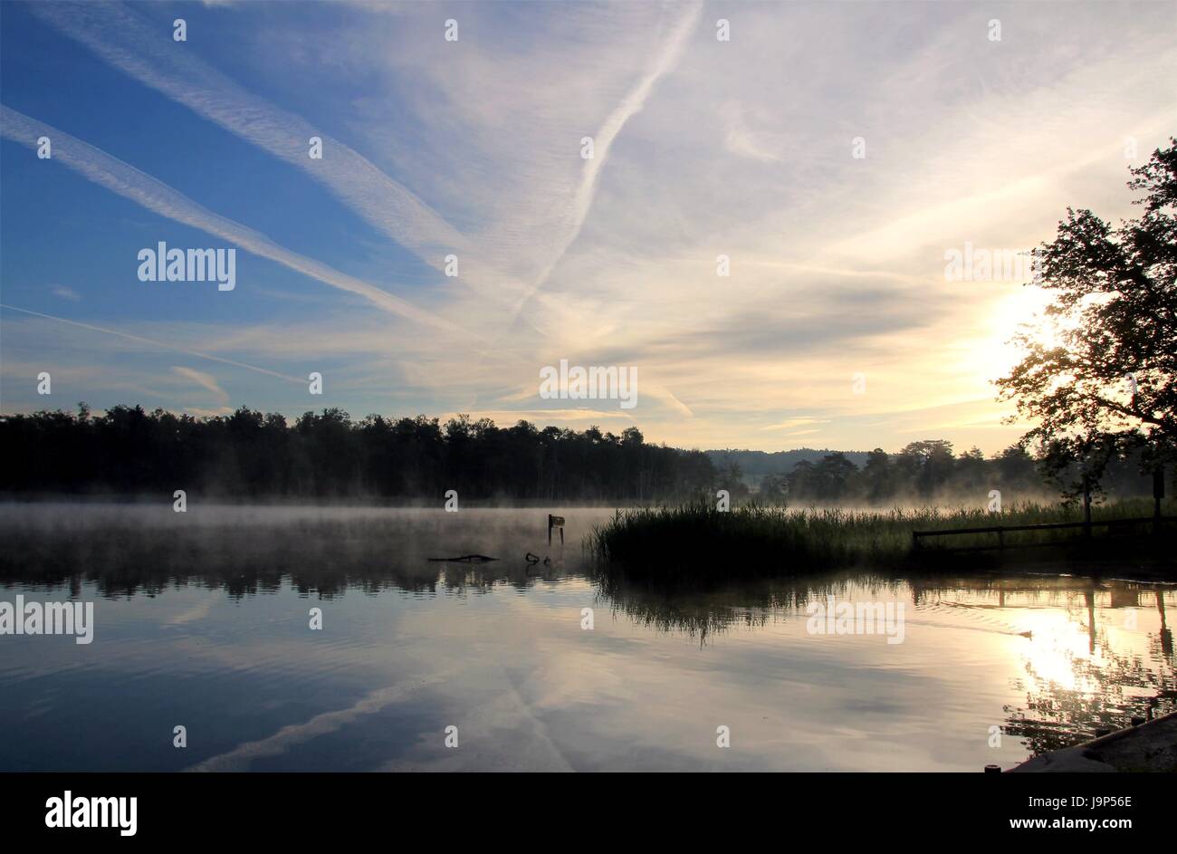 Katzensee hi-res stock photography and images - Alamy