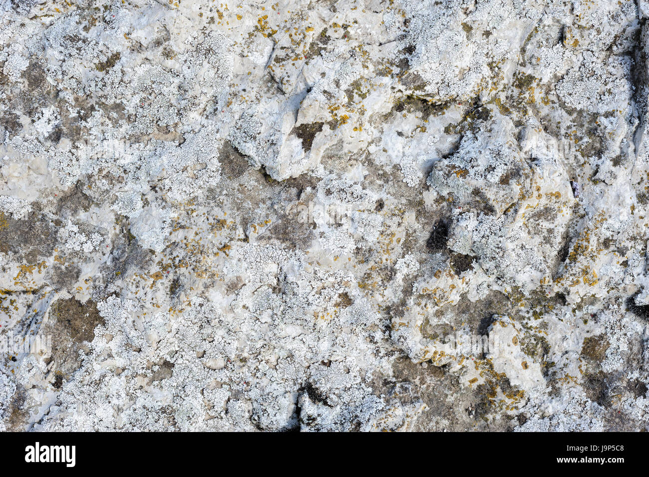 Abstract rock texture hi-res stock photography and images - Alamy